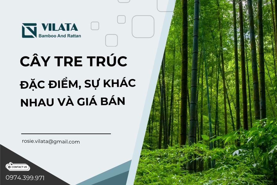 Rơm Nhân Tạo - Vật Liệu Nhân Tạo Thế Hệ Mới